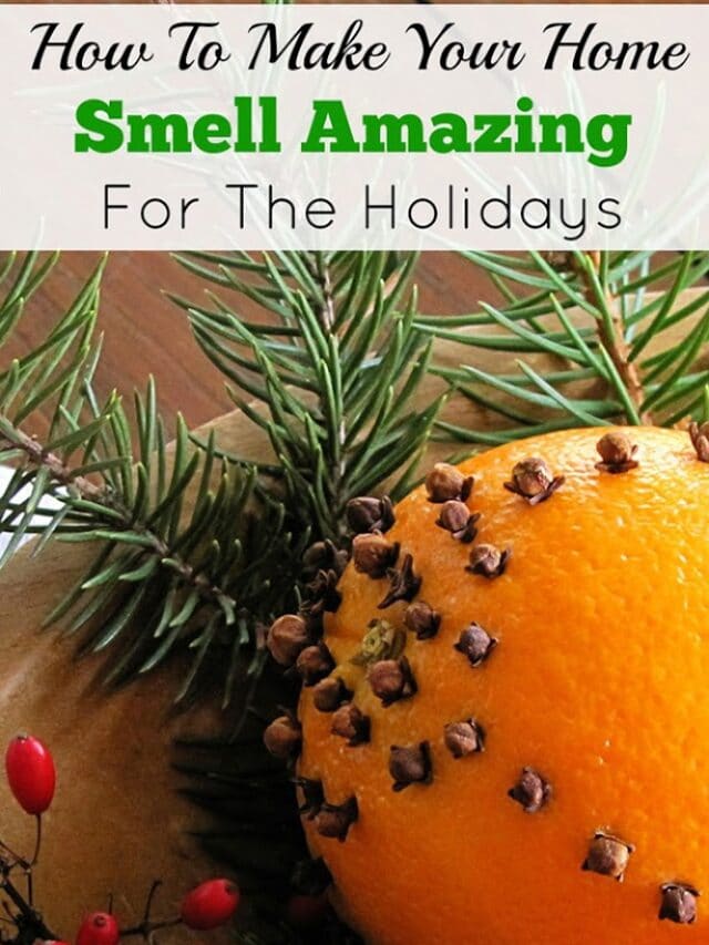 HOW TO MAKE ORANGE CLOVE POMANDER BALLS STORY