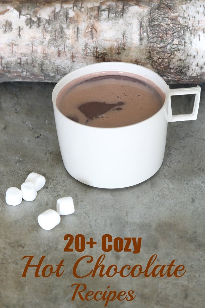 20+ Cozy Hot Chocolate Recipes - House of Hawthornes