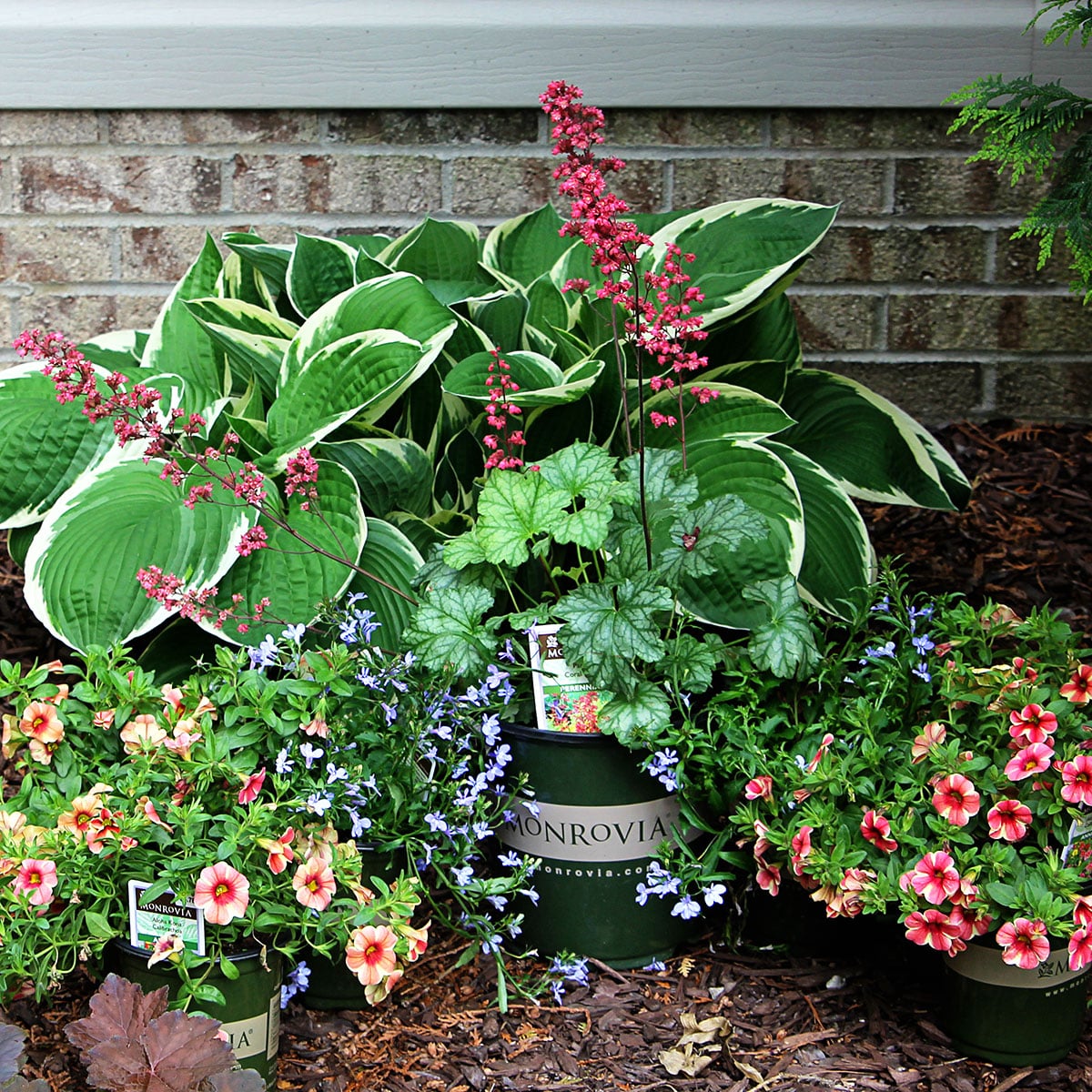 Container Gardening Made Easy My Top 3 Must Have Garden Containers