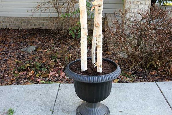 How To Make Outdoor Christmas Planters - House of Hawthornes
