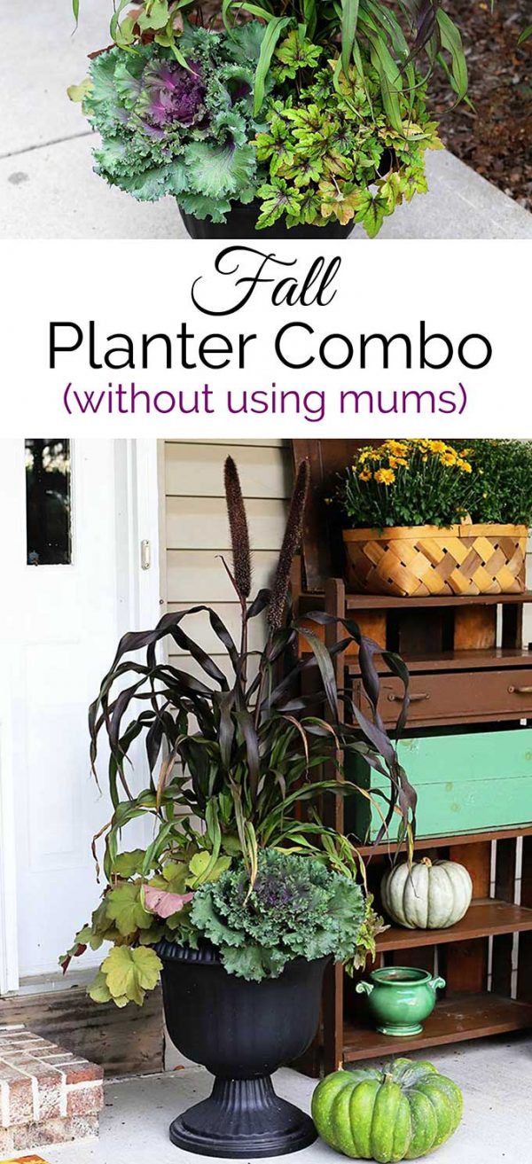 Making A Fall Foliage Planter (No Mums In This One) - House of Hawthornes