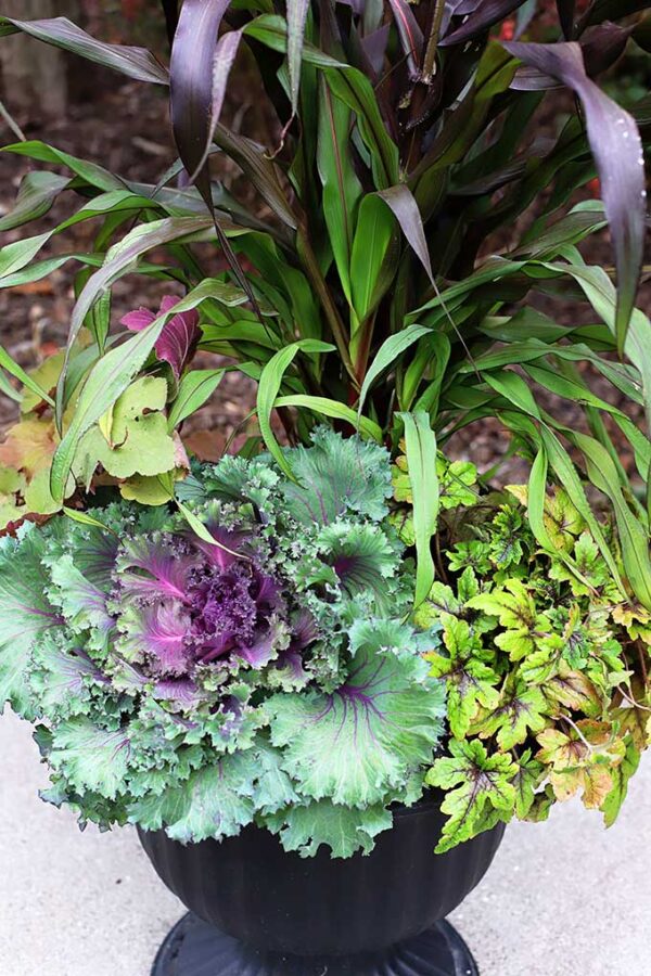 Making A Fall Foliage Planter (No Mums In This One) - House of Hawthornes