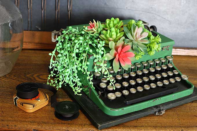 How To Make A Succulent Planter Out Of A Typewriter - House of Hawthornes
