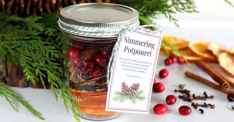 DIY Simmering Potpourri Gift And Printable Tag - House of Hawthornes