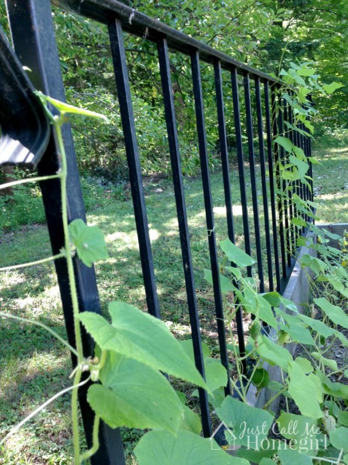 25+ Upcycled Garden Ideas - House of Hawthornes