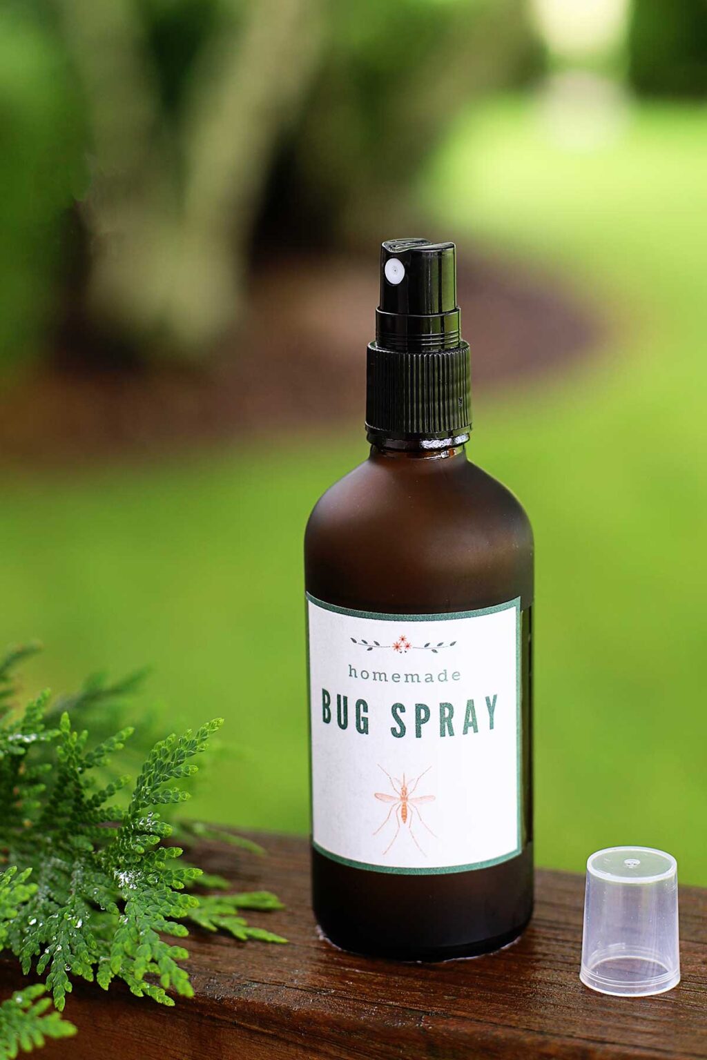 Natural Ways To Repel Mosquitoes Without Bug Spray - House of Hawthornes