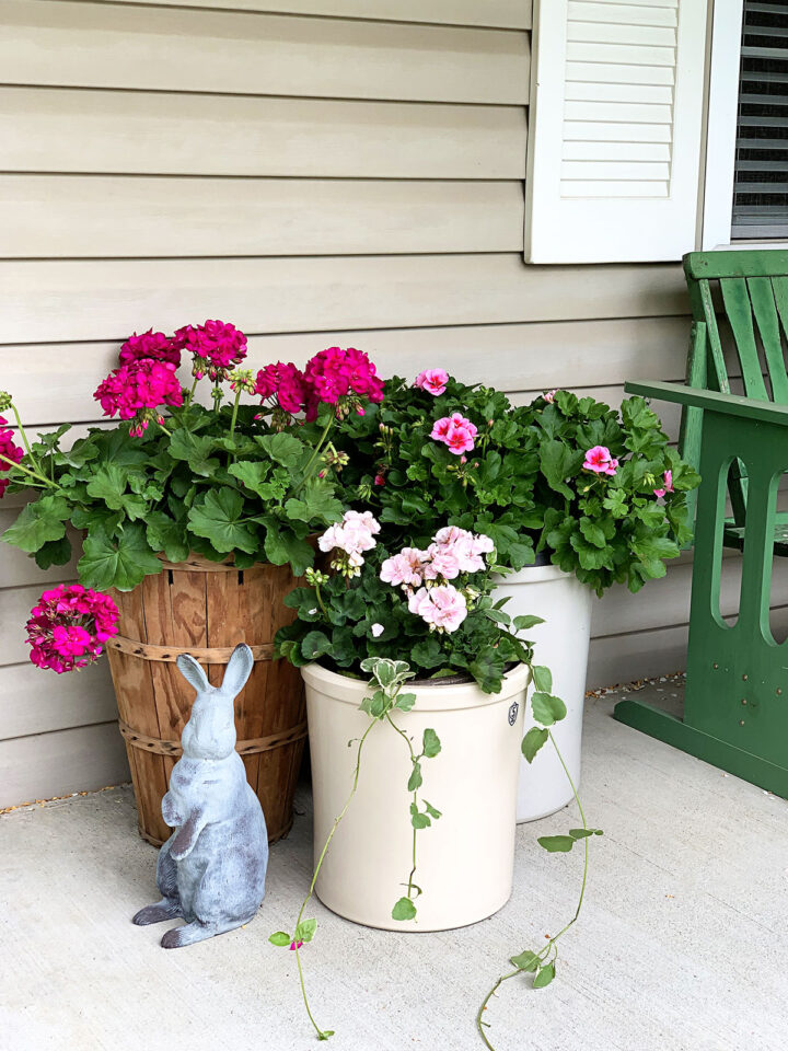Favorite Plant Combinations For Container Gardens - House of Hawthornes