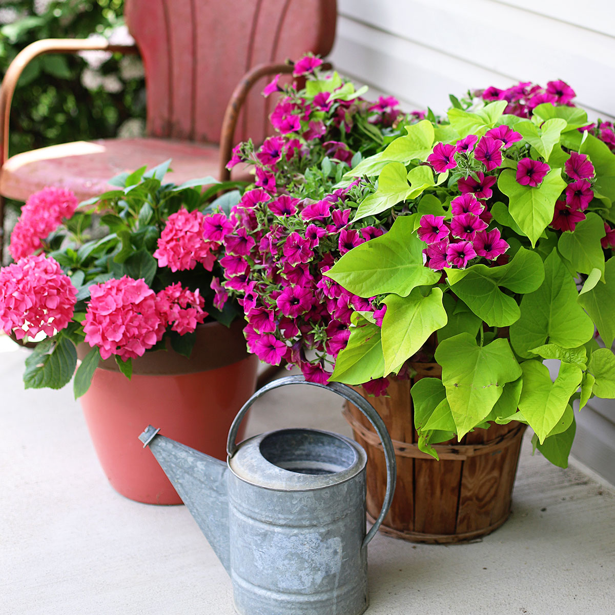 Flower Pot Ideas Garden