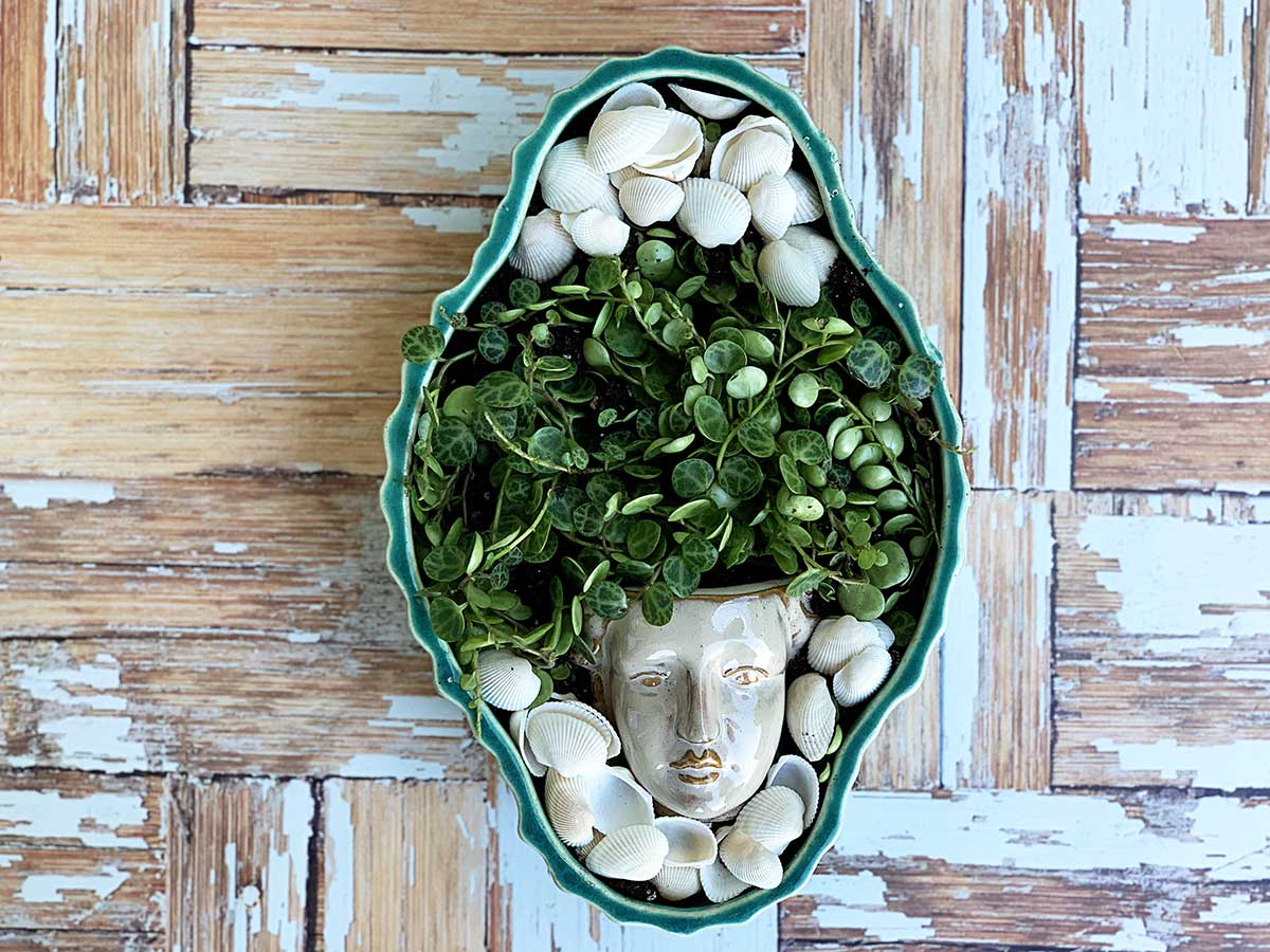 How To Plant A Fun Succulent Planter Bowl - House of Hawthornes