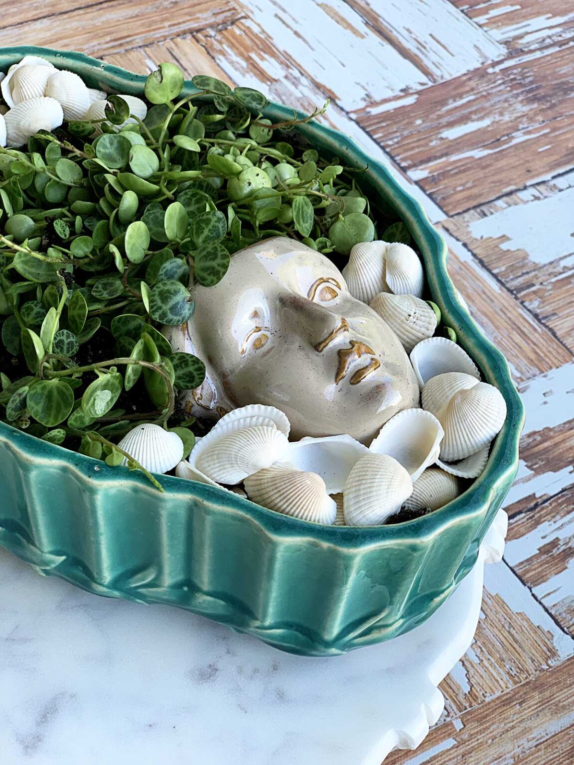How To Plant A Fun Succulent Planter Bowl - House of Hawthornes