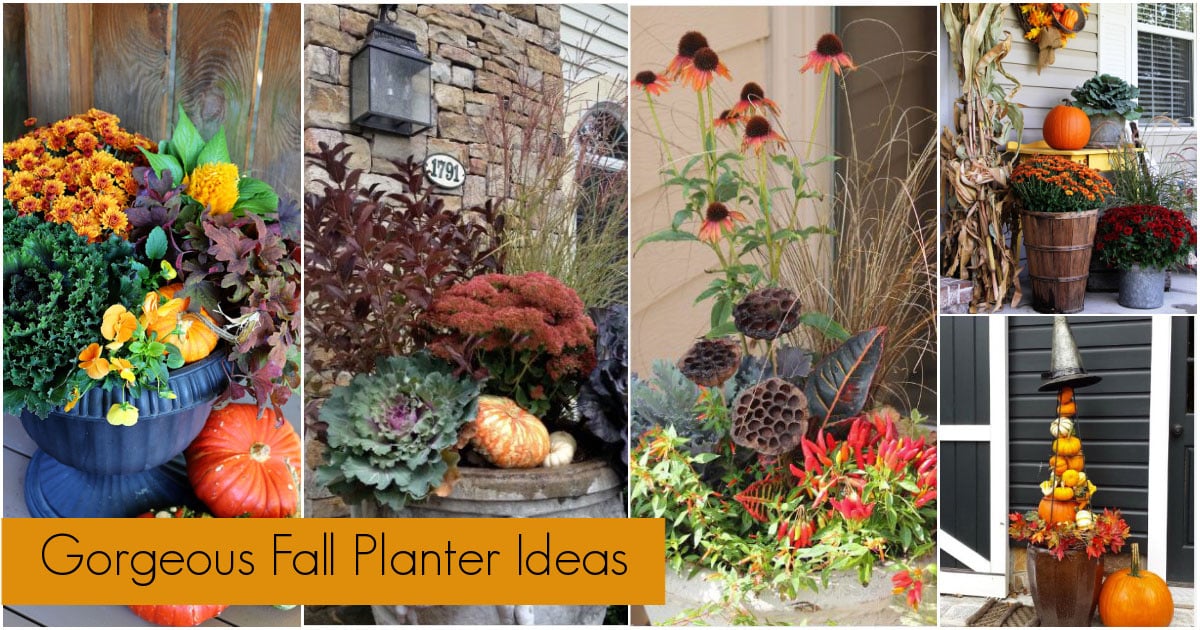 Fabulous Fall Planter Ideas - Container Garden Photos, Tips & Inspiration
