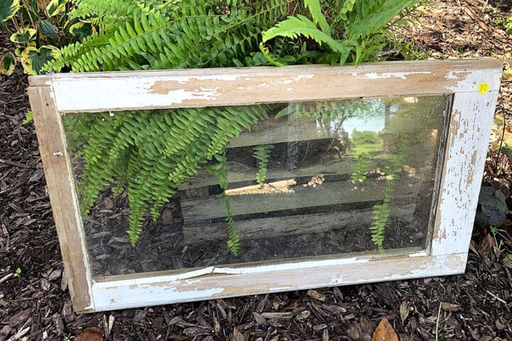 Window Art With Glass Plates - A Thrift Store Upcycle