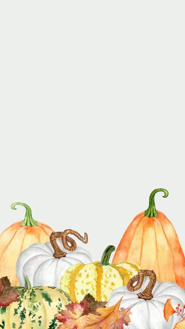 Fall iPhone Wallpaper Backgrounds - Free To Download