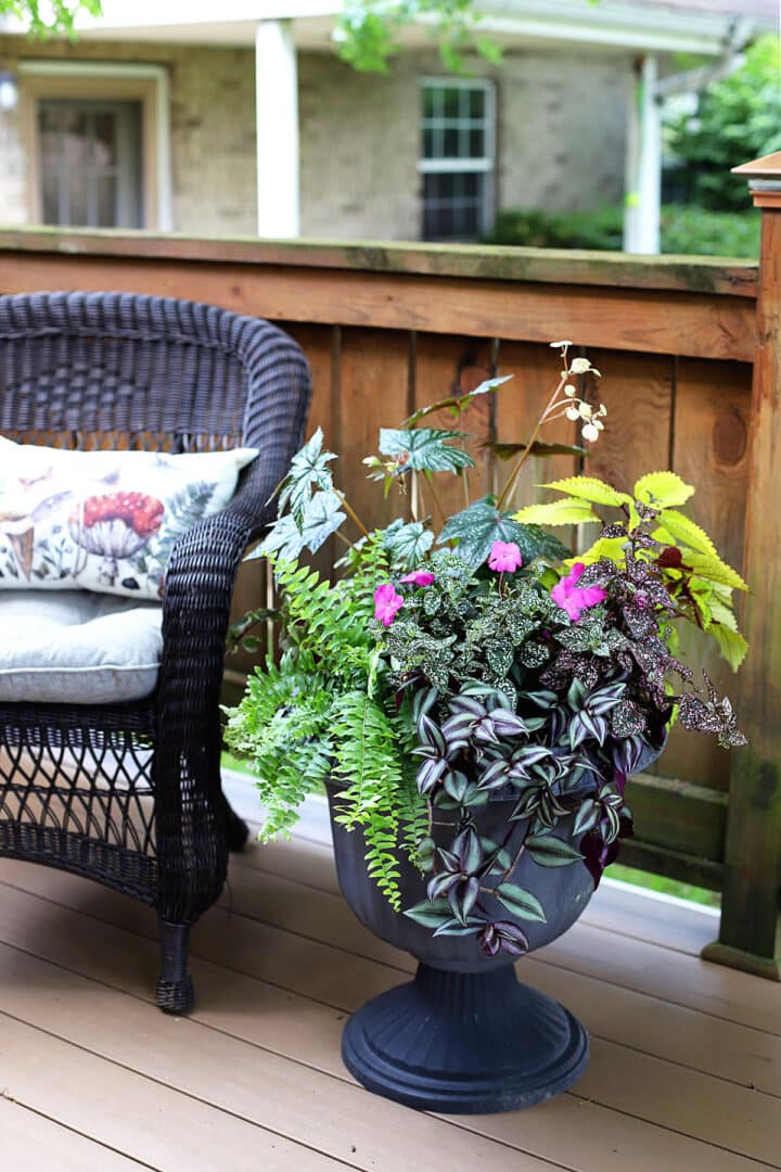 Create A Lush Summer Shade Container Planter - House of Hawthornes