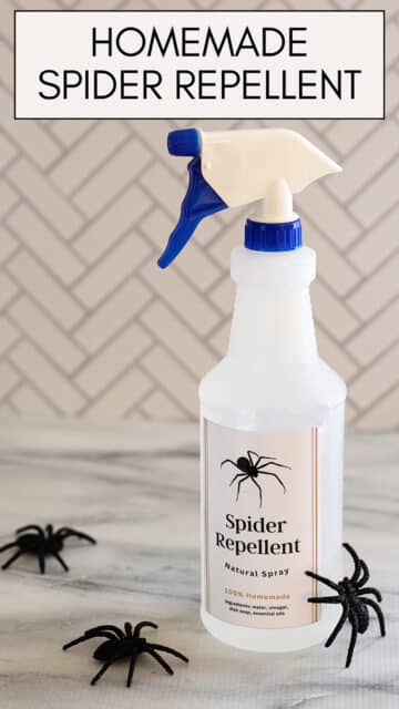Best Homemade Natural Spider Repellent 🕷️