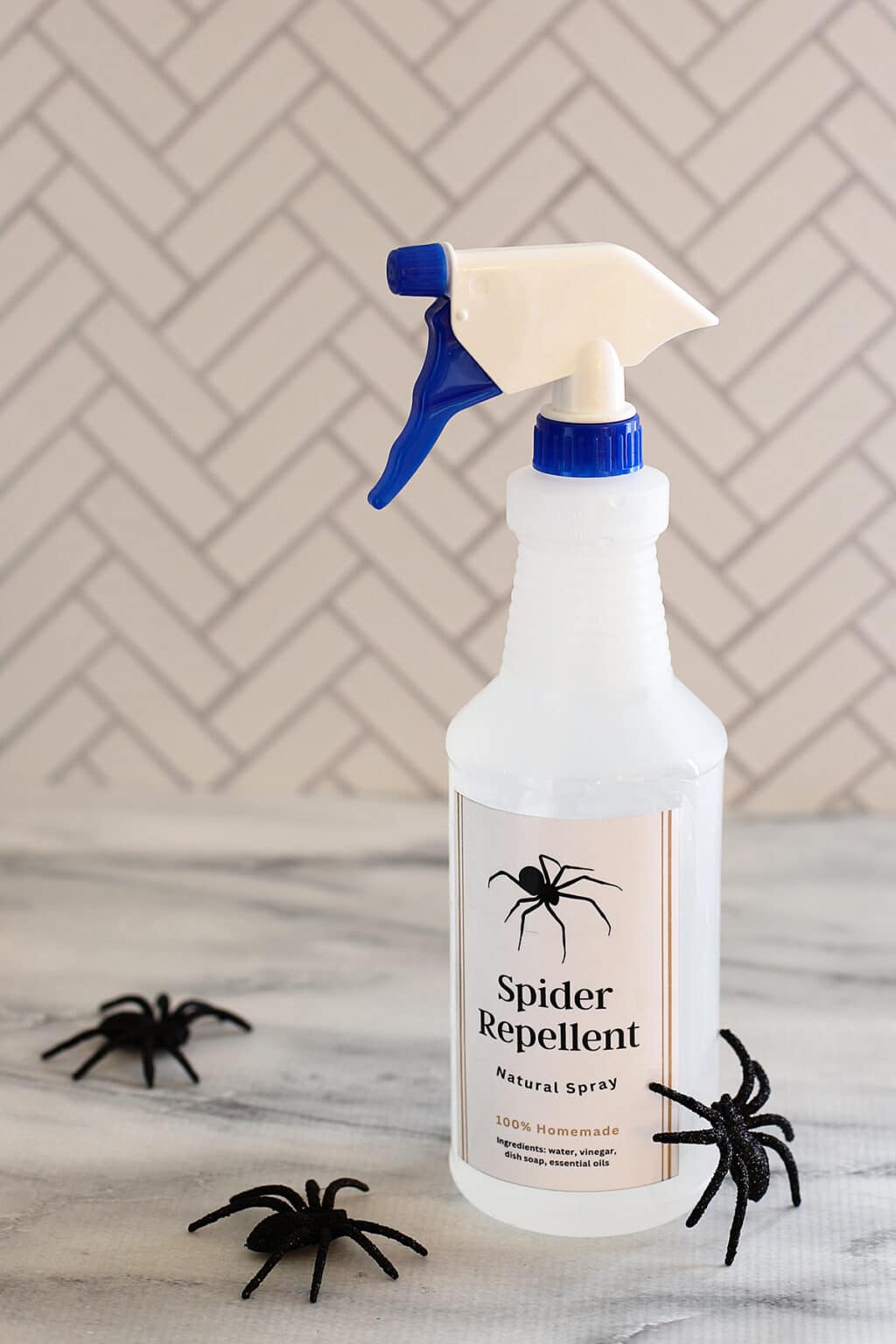 Best Homemade Natural Spider Repellent 🕷️