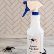Best Homemade Natural Spider Repellent 🕷️